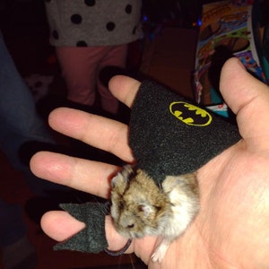 Jack O' Lantern Cape Costume for Pet Rats Orange Cape | Etsy