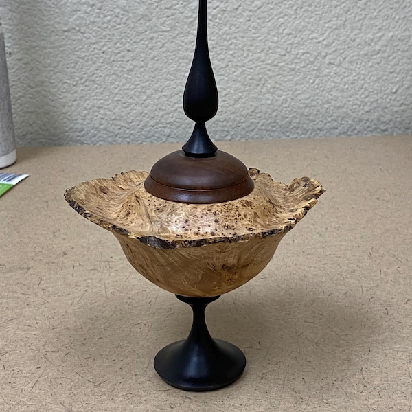 Lathe Turned Hackberry Wood Hollow Form W/ African Blackwood Ring, Fine ...