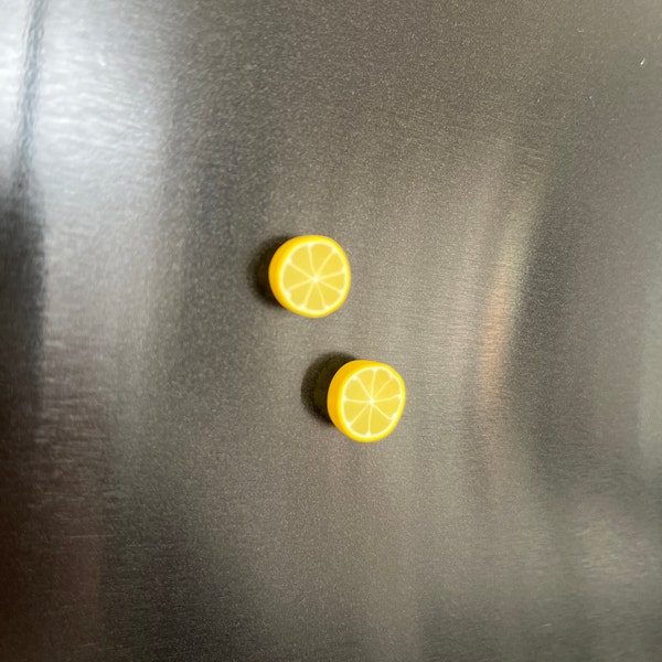 Lemon Slice Magnets or Drawing Pins - Etsy Australia