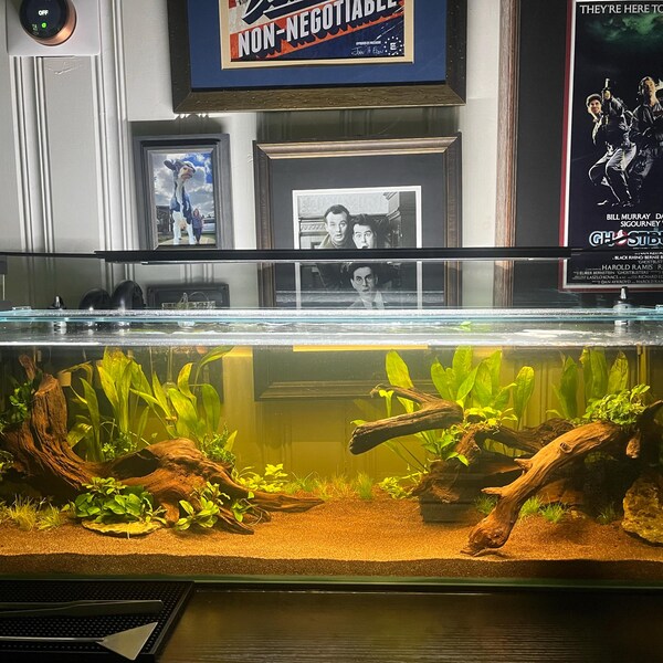 Finnex Stingray Original LED Light Riser, Attractive Stable Elevated ...