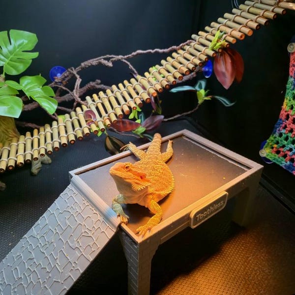 Bamboo Bridge- 4" Width - (perfect for Crested Geckos, Leopard Geckos ...