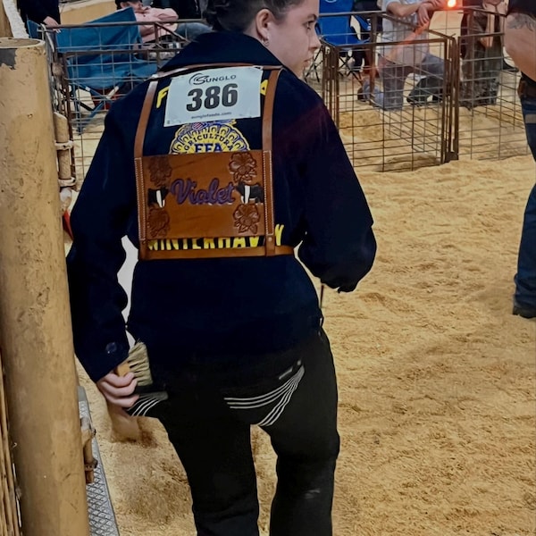 Handmade Custom Livestock Exhibitor Show Harness - Etsy