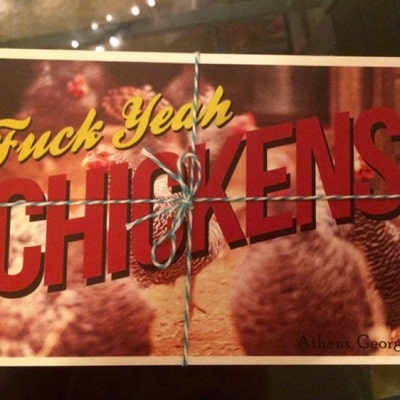 Legalize Human Composting Bumper Sticker - Etsy