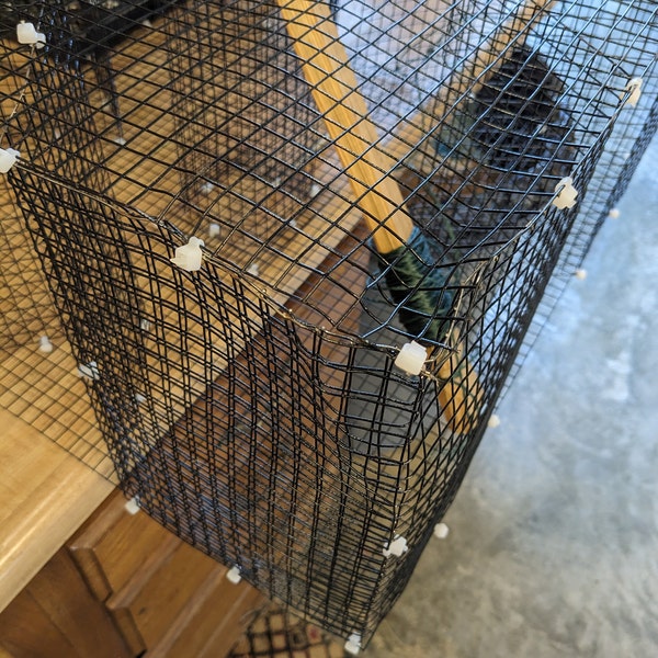 Four Leaf Clover Fish Trap - Etsy