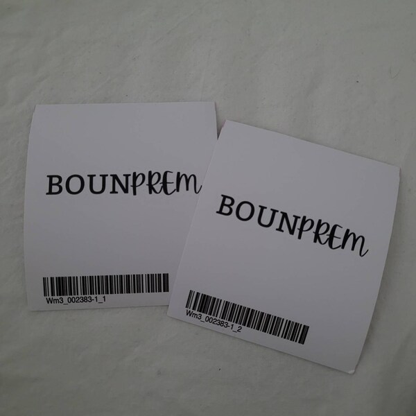 Jjongtoram Jeonghan Miniteen Sticker, Seventeen Fandom, Carat Fan ...