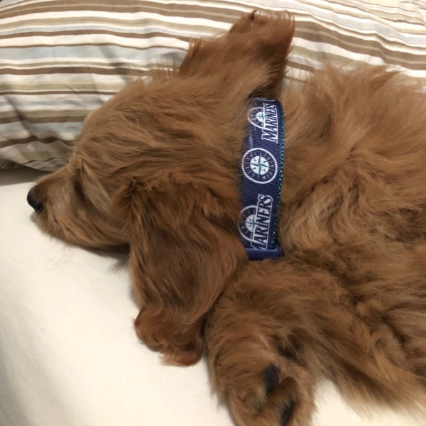 SEATTLE MARINERS Inspired Dog Collar/adjustable/one Inch Wide/mlb - Etsy