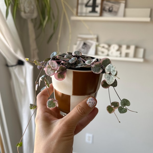 Checkerboard Pot Brown Retro Planter for Indoor Plants and Home Decor ...