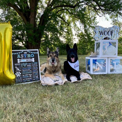 Dog Birthday Chalkboard Sign, Dog Party, Pet 1st Birthday Chalkboard ...