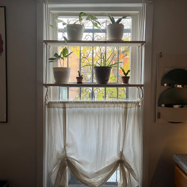 Hanging Window Shelves | Window Plant Shelf {2 Tiered} | Window ...