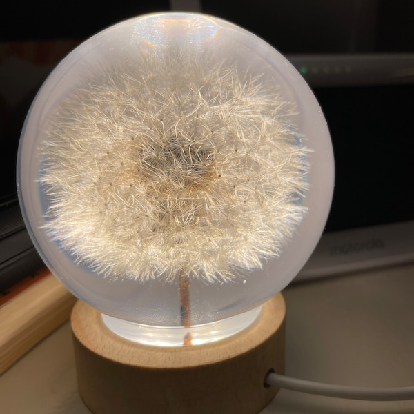 Dandelion Night Light, Real Dandelion Puff Paperweight, Flower Epoxy ...