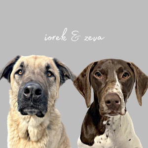 Custom Pet Portraits Using Pet Photo Personalized Digital Dog Portraits ...