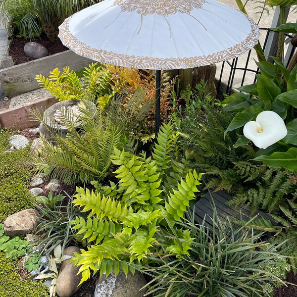 Hand Painted White Waterproof Parasol With FREE Umbrella Bag, White ...