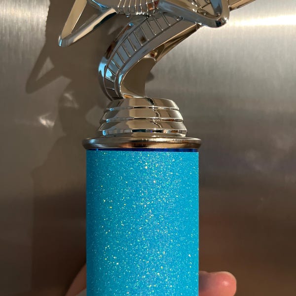 Disco Ball Trophy. Great Trophy for Dance, Recitals, Competitions and ...