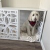 Modern Dog Kennel Triple Small Dog Crate With Sliding Door With a Latch ...