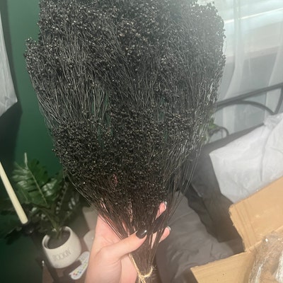 Black Bloom Broom Bunch Bloom Broom Flower Black Wedding Decor Black ...