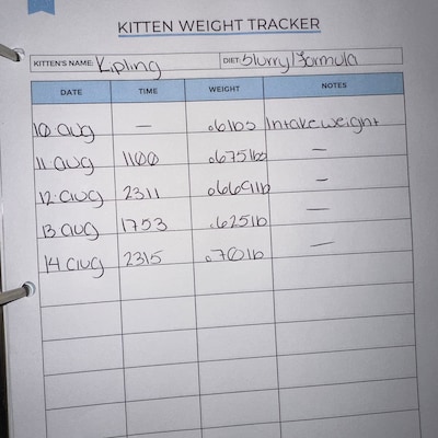 Kitten Bottle Feeding Tracker, Newborn Cat Care Monitoring Chart ...