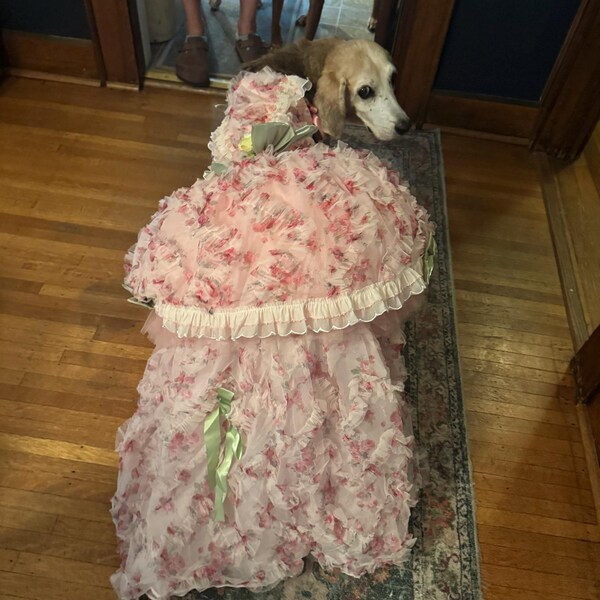 Customizable Dog Wedding Gown, Removable Skirt, Black Lace and Sequins ...