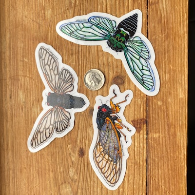 Cicada Trio Sticker Pack - Etsy