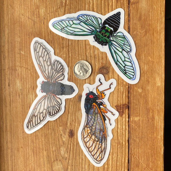 Cicada Trio Sticker Pack - Etsy