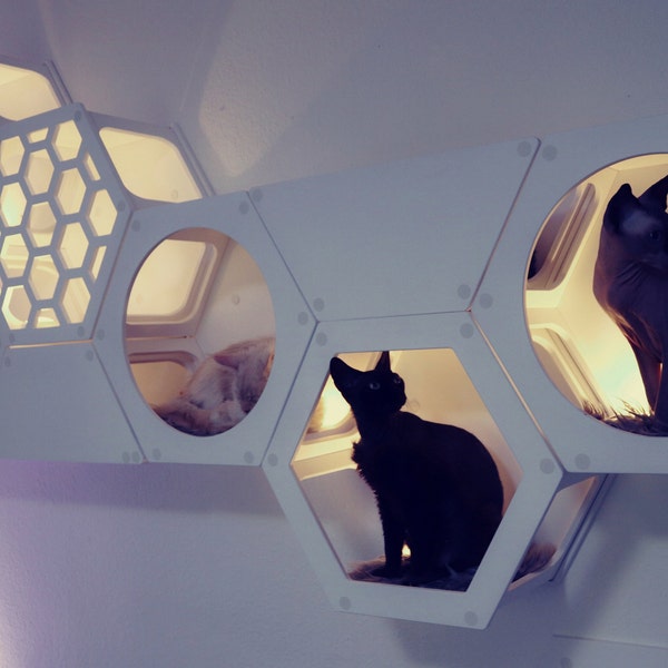 Set of Hexagon Cat Shelfs Included Steps, Cat Furniture , Cat House ...