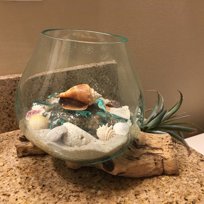 Medlg Teak Wood Terrarium Hand Blown Glass & Teak Wood Root Terrarium ...