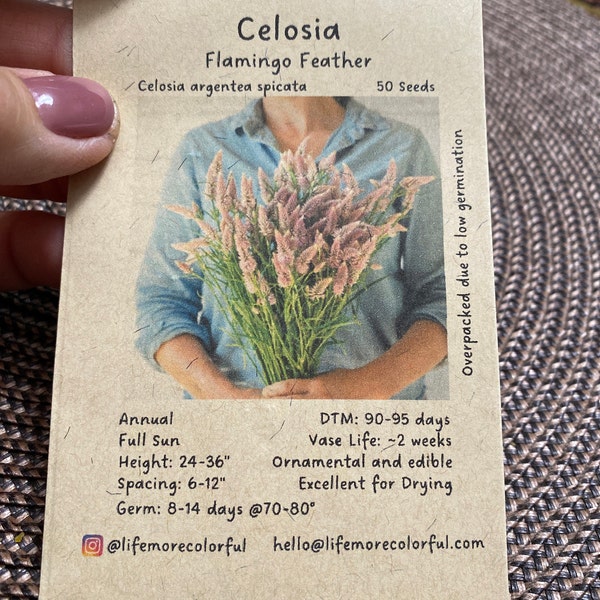 Flamingo Feather Celosia 50 Seed Packet - Etsy