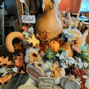 15 Quality SMALL Egg Gourds Dried & Cleaned - Etsy