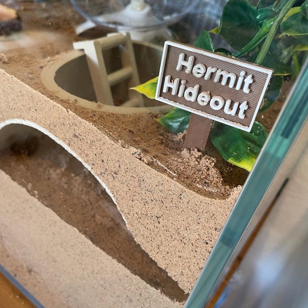 Floating Aquarium Hides / for Fish Tanks and Shrimps / Creating a Safe ...