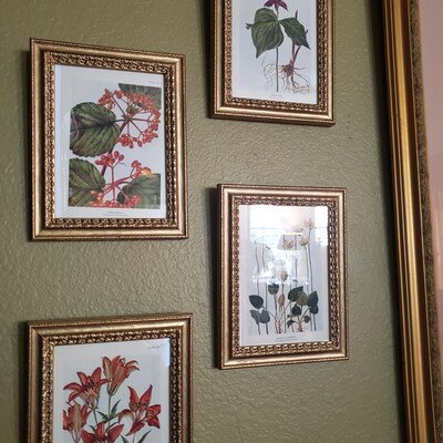 Mid-century Modern Picture Frames Stained Wood Neutral Organic Unique ...