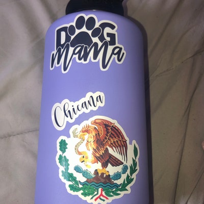 Chicana Sticker Vinyl Decal Mexican Phrases Latina Mom MacBook Laptop ...