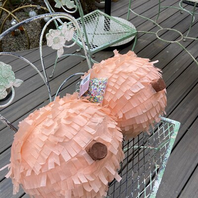 Sushi Pinata Birthday Party - Etsy