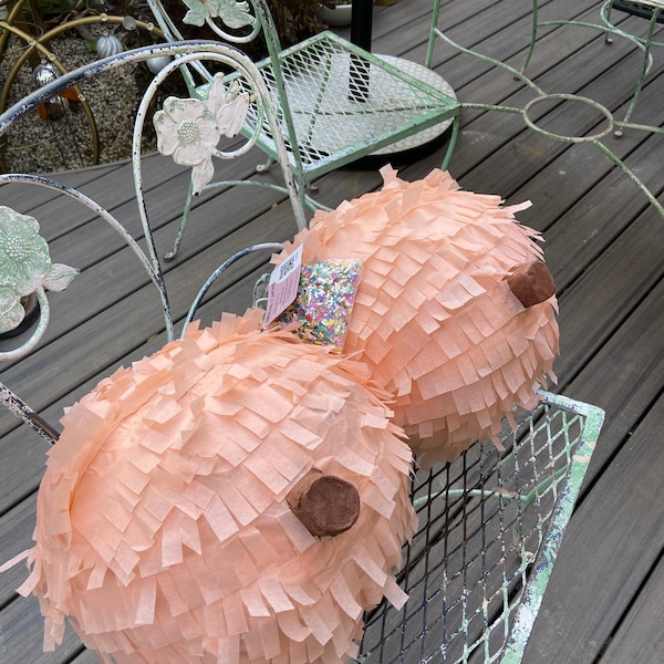 Sushi Pinata | Birthday Party - Etsy