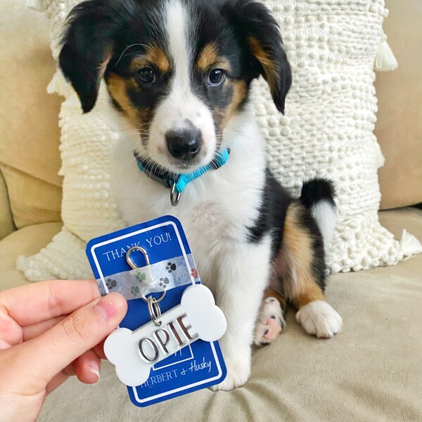 Custom Acrylic Dog Tag, Personalized Dog Name Tag, Dog ID Name Tag ...