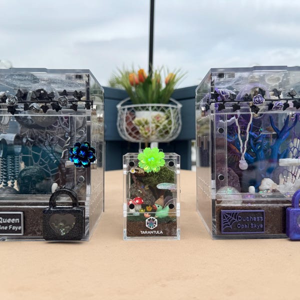 3D Printed UFO Spaceship Hide/decor Jumping Spider, Small Enclosure - Etsy