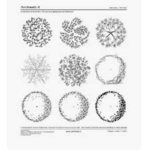 Landscape Tree Plan Templates: PNG Files for Architecture - Etsy