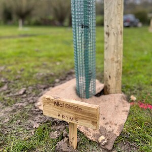 Bug Hotel Sign Personalised Garden Sign for Kids Ladybird - Etsy