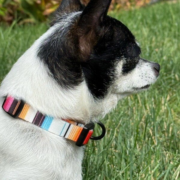 Treeline Dog Collar - Trees | Forest | Nature | Outdoors - Etsy