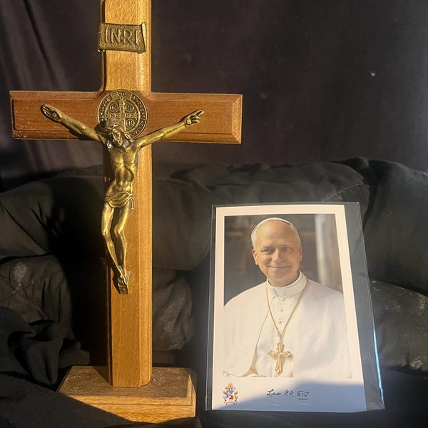 Portrait of Pope Leo XIV Our Holy Father of the Catholic Church Vicar ...