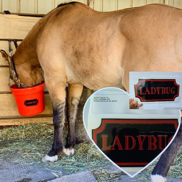 Name Plate Decals | Size 3x6 | Horse Bucket Labels | Vinyl Name Plate ...