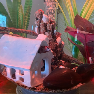 Small Fish Hide Betta Fish Cave Small Aquarium Decor Fish - Etsy