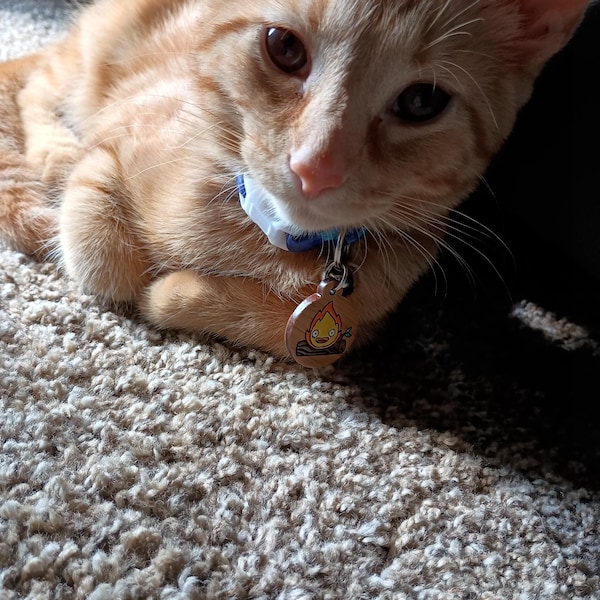 Binx is My Boo SVG - Etsy