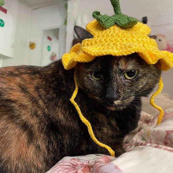 Yellow Crochet Cat Hat With Flower – Floral Fairy Hat for Cats, Cute ...