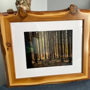 Live Edge Wood Picture Frame Rustic Decor Wall Hangings Home Decor 8x10 ...