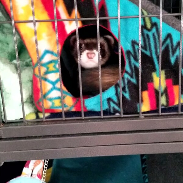 Small Animal Cage Ramp Cover Tent, Critter & Ferret Nation, Feisty ...