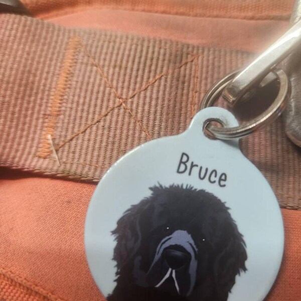 Cavapoo Cute Dog ID Tag for Cavapoos Pet Collars, Dog Tag, Dog Collar ...