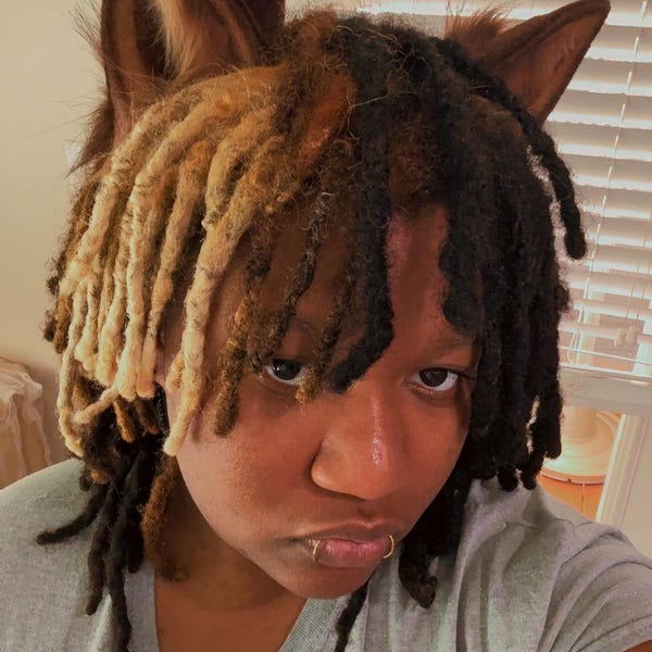 Realistic White Kitten Ear and Tail Set Kitten Tail and Tail Cat Ear ...