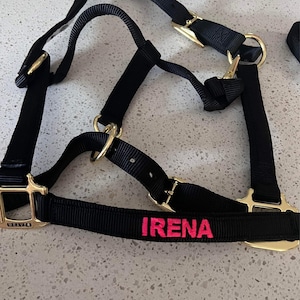 Personalized Nylon Sheep Halter - Etsy