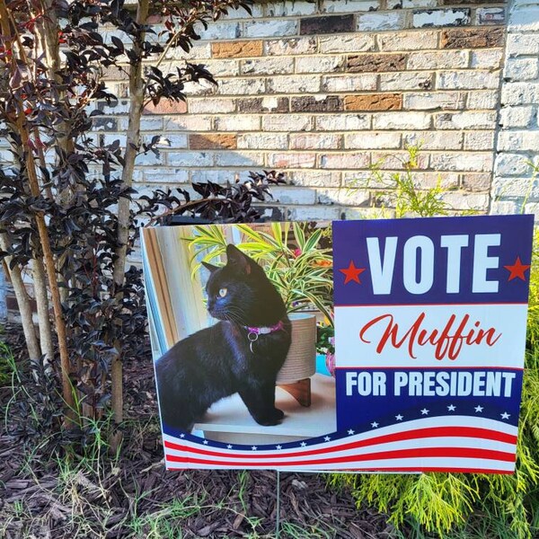 Personalized Pet Political Yard Sign, Funny Political Sign, Cat Yard ...