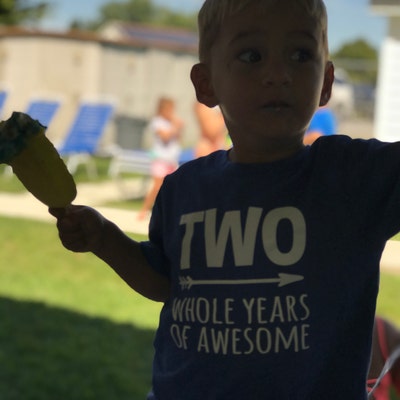TWO Whole Years of Awesome 2nd Birthday Shirt Boy Front and Back Design ...