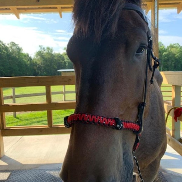 Indian Bosal Hackamore Bitless Multiple Sizes - Etsy